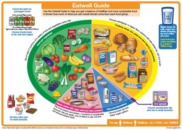 Bread as part of a balanced diet - Federation of Bakers